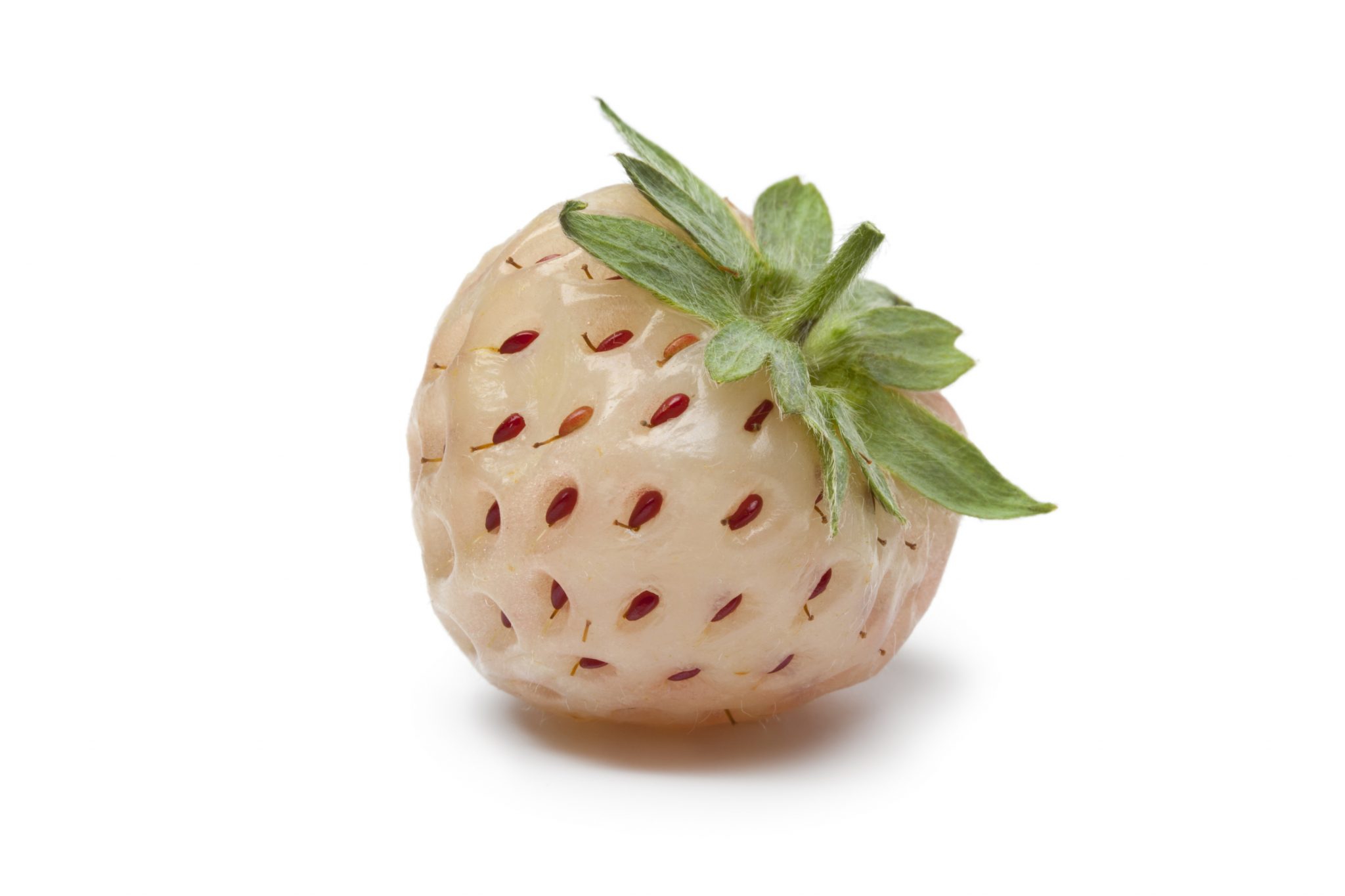 7 Surprising Health Benefits of Pineberries - Blend of Bites